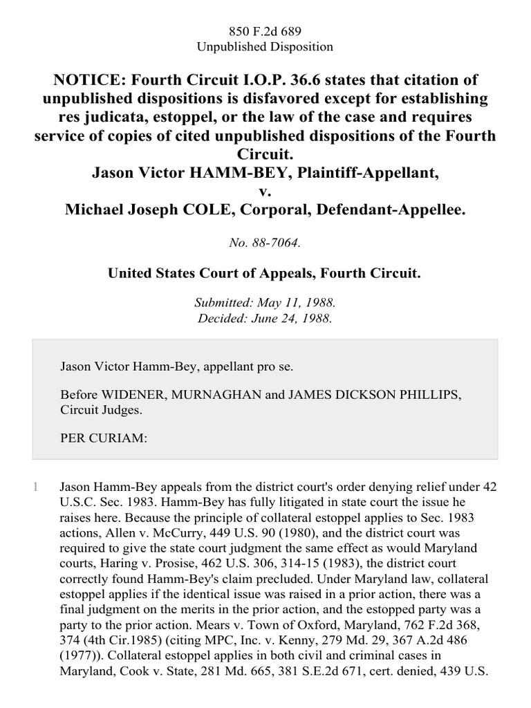 Fourth Circuit Ruling on Sec. 1983 Case | PDF | Politics | Social Science