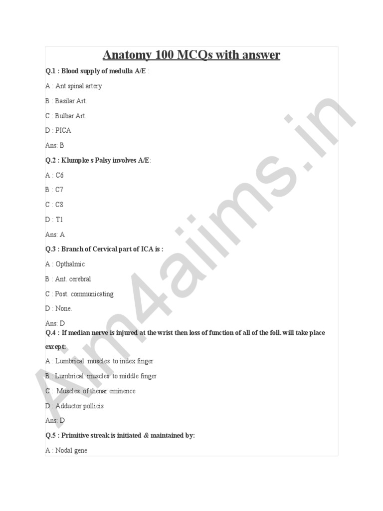 Anatomy Mcqs | PDF | Pancreas | Human Anatomy