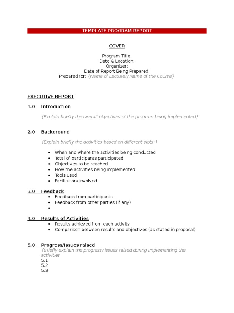 Program Report Template Guide | PDF
