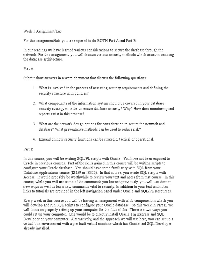 IS481 W1 Assignment Combined | PDF