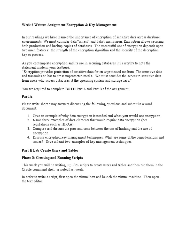 IS481 Week 2 Assignment | PDF | Oracle Database | Encryption