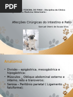 Cirurgia de Hartmann: Procedimentos e Cuidados | PDF ...