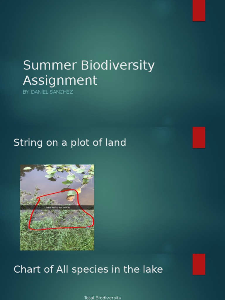 Summer Biodiversity Assignment | PDF | Lake | Frog
