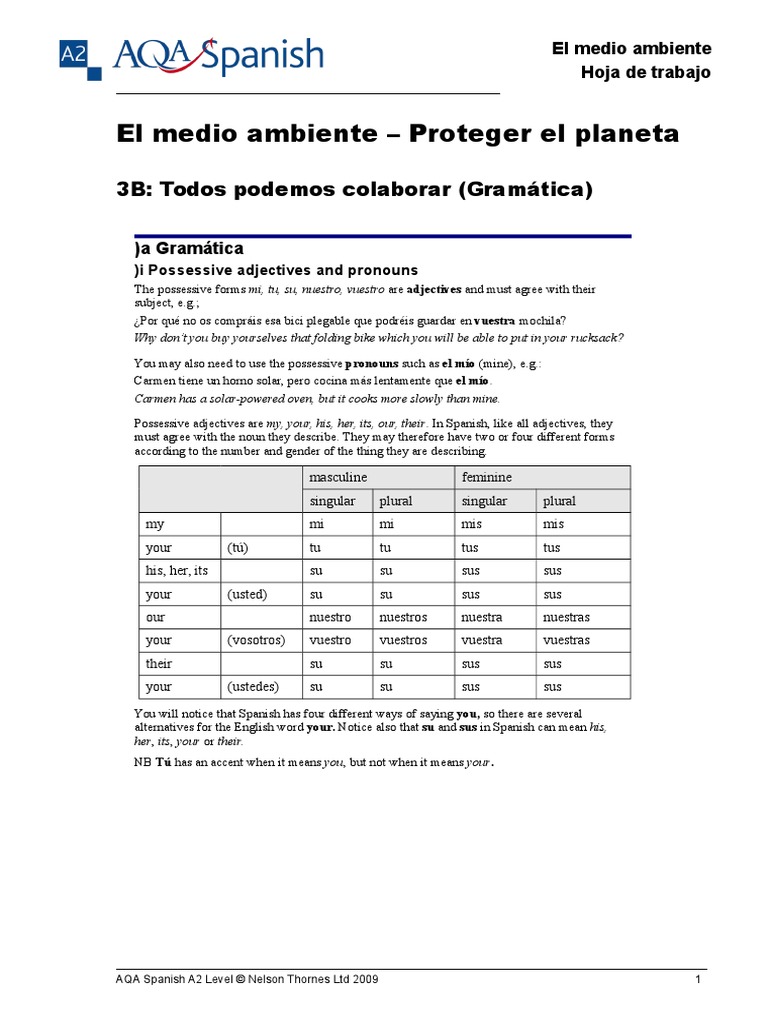 Todos Podemos Colaborar Gramatica | PDF | Grammatical Gender ...