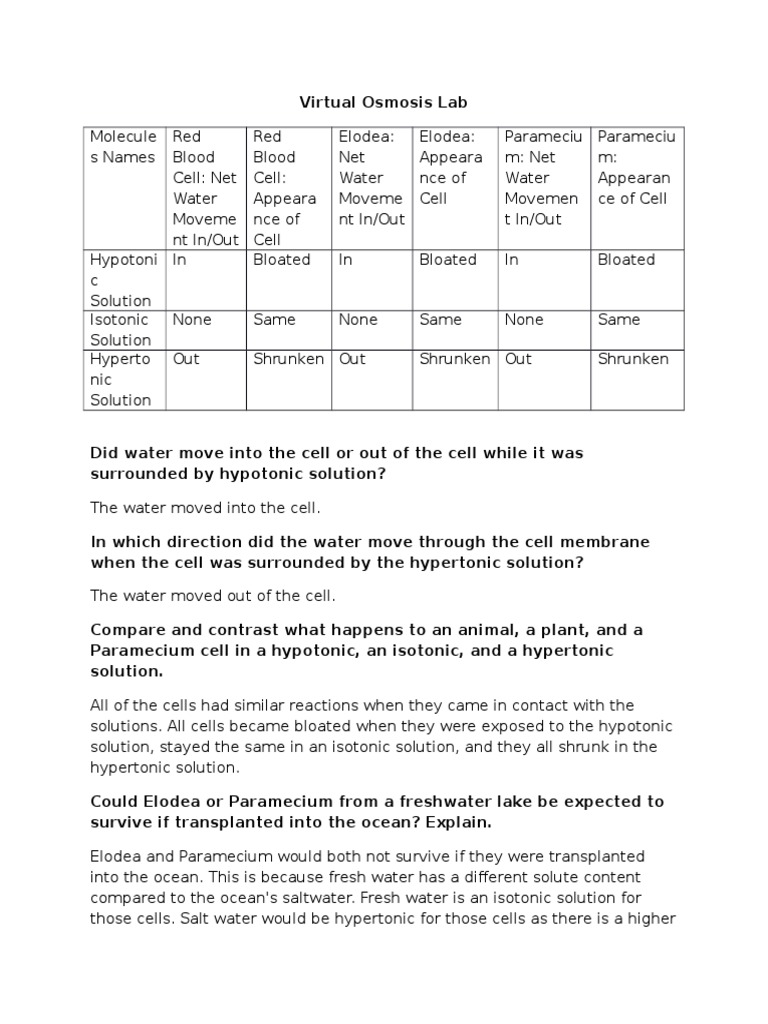 Virtual Osmosis Lab | PDF | Osmosis | Cell Biology