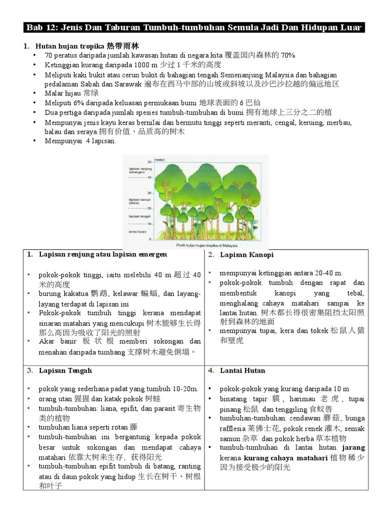 F1 Geo Bab 12 Nota Ringkas | PDF