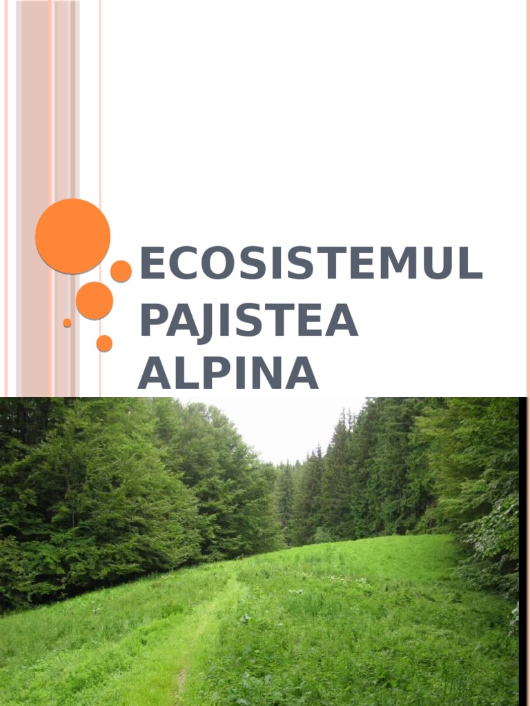 Ecosistemul Pajistea Alpina | PDF