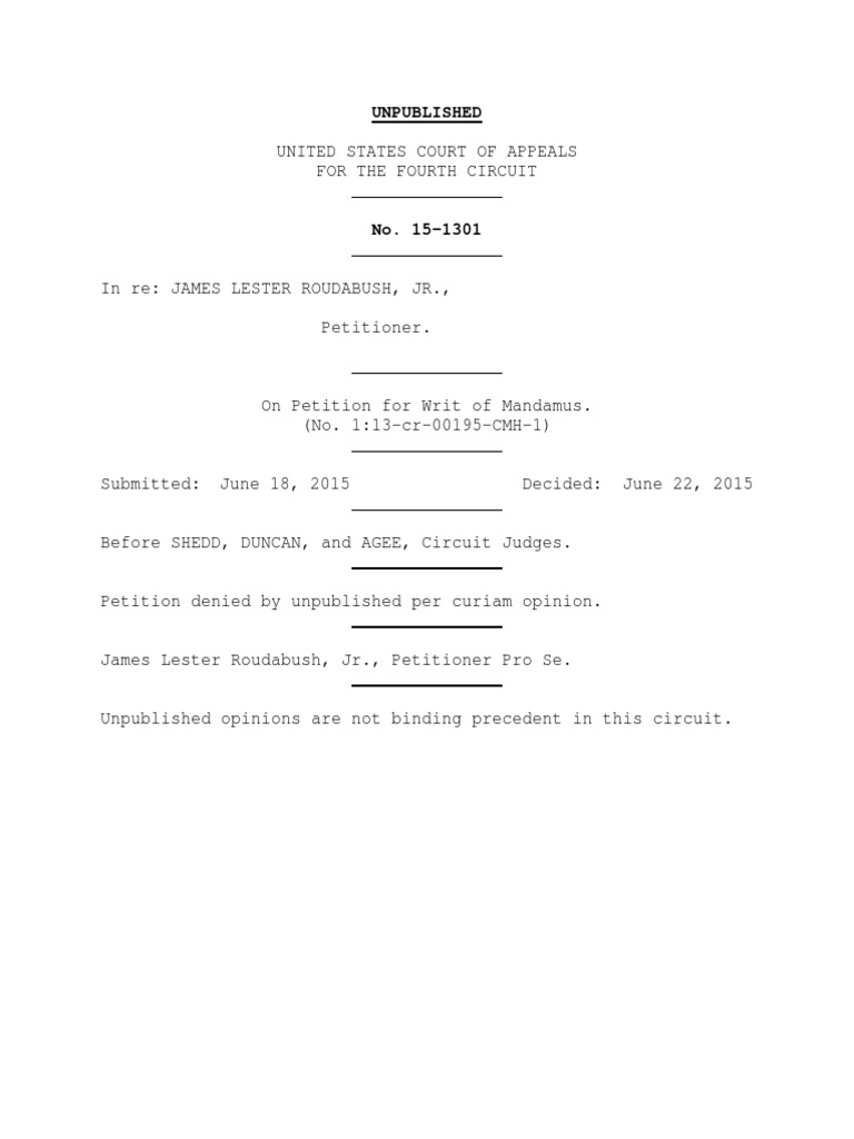 In Re: James Roudabush, Jr. V., 4th Cir. (2015) | PDF