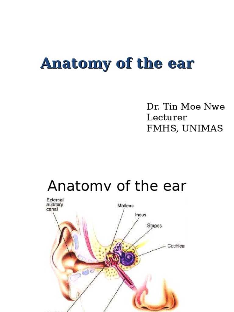 Anatomy of The Ear TMN New | PDF | Ear | Sound