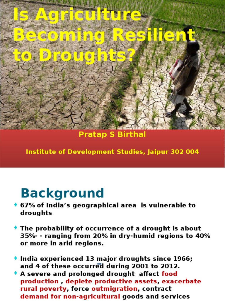 Impact of Drought on Crop Yield | Drought | Rain
