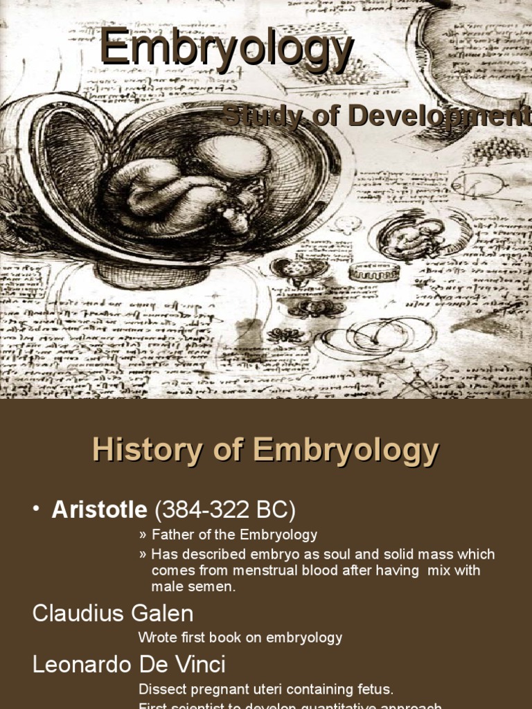 Embryology History | PDF | Fertilisation | Reproductive System