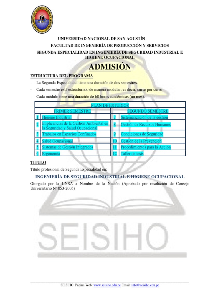 Ing Seguridad SEISIHO | PDF | Educación a distancia | Ingeniería