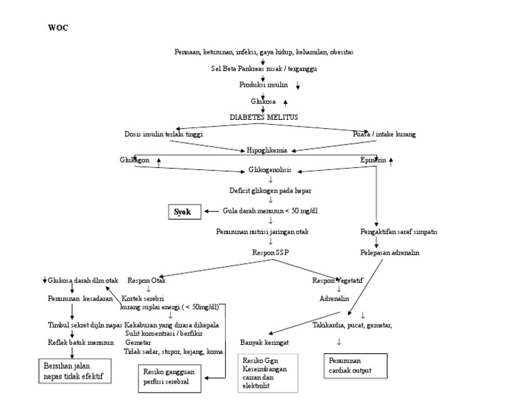 Woc Hipoglikemi | PDF
