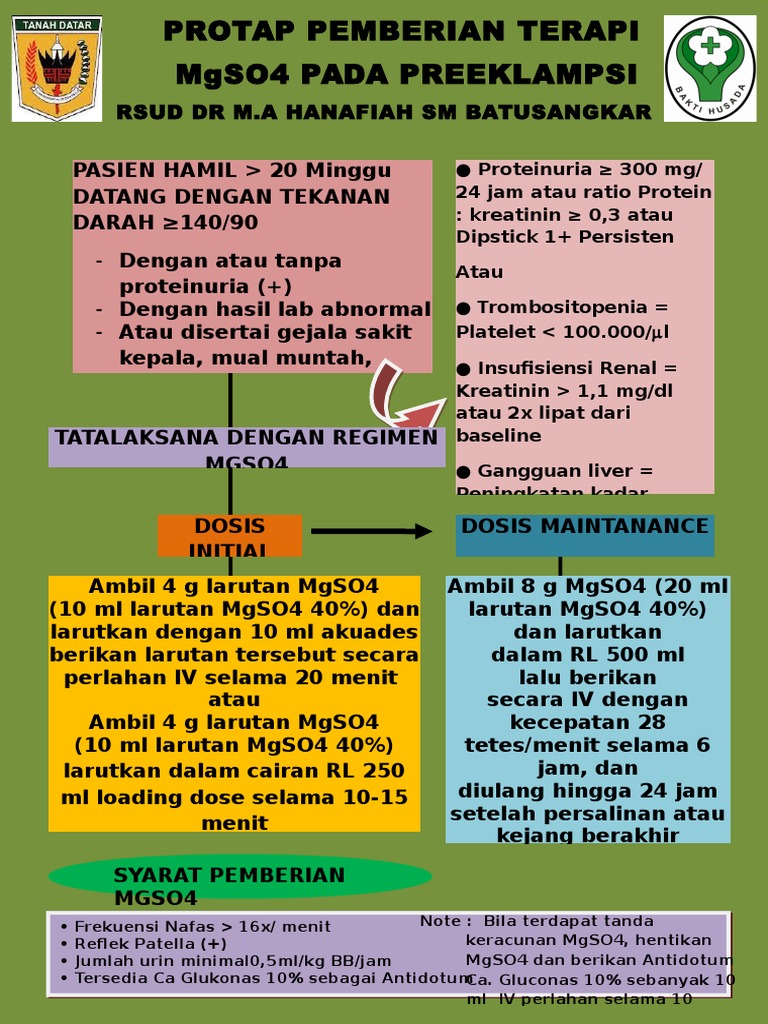 Protap Pemberian Terapi Mgso4 Pada Preeklampsi Batusangkar | PDF