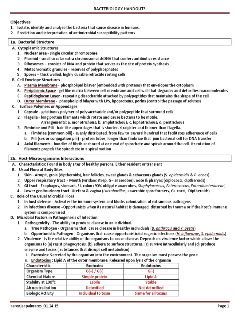 Bacteriology Handouts | PDF | Streptococcus | Staining