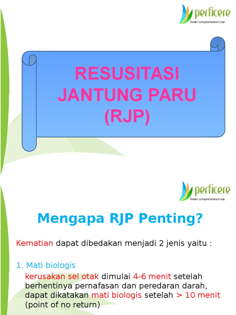 RJP | PDF | Pengembangan Diri | Kesehatan Holistik