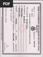 BRAC Work Experience | PDF