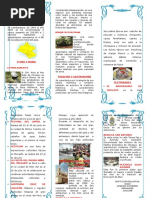 Tríptico Región Costa Ucayali | PDF | Viajes y turismo