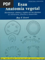 Fisiología Vegetal, Volumen 1 - Lincoln Taiz y Eduardo Zeiger | PDF