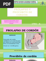 Distocia Funicular: Definición y Evaluación | PDF | Parto | Feto