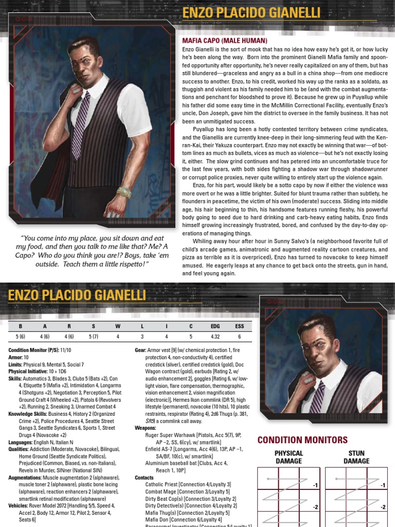 Shadowrun 5E Seattle Sprawl Digital Box Character Cards | PDF | Armour ...