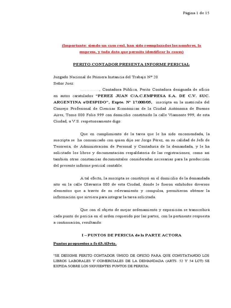 Modelo de Informe Pericial | PDF | Testigo experto | Salario