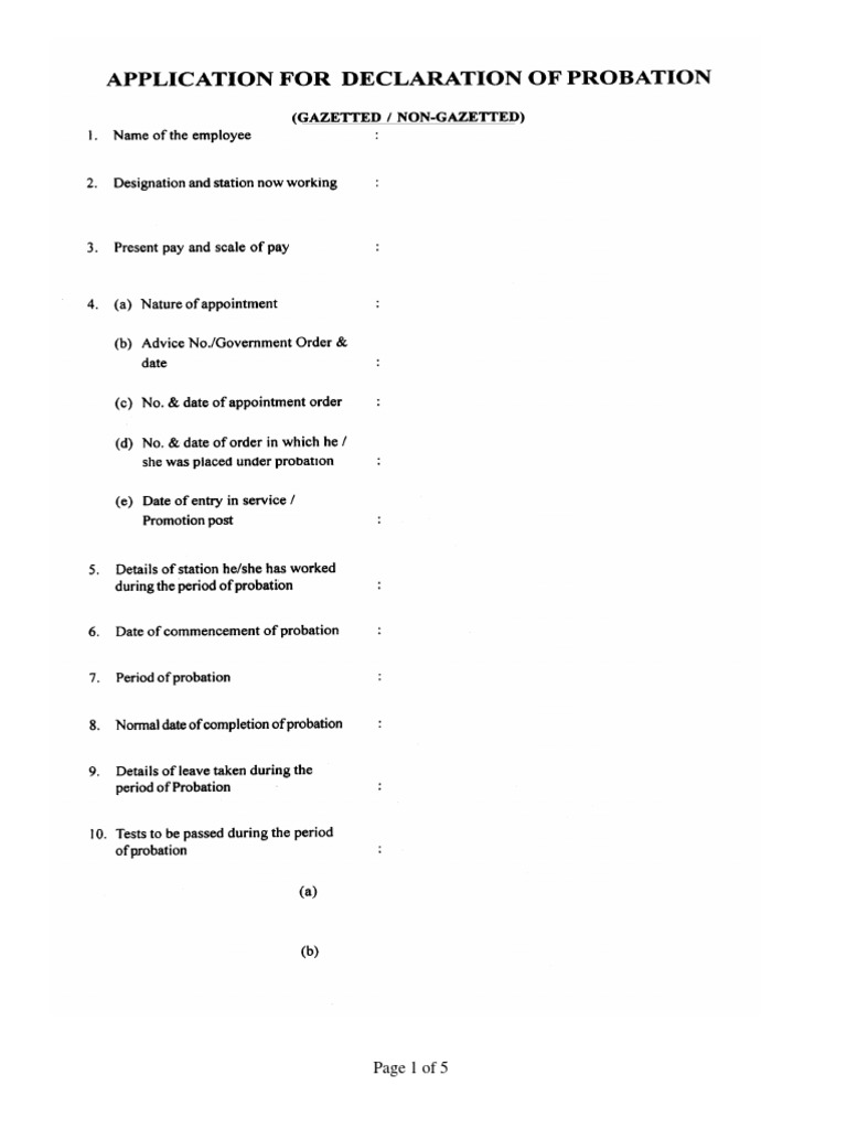 Probation Declaration Form | PDF