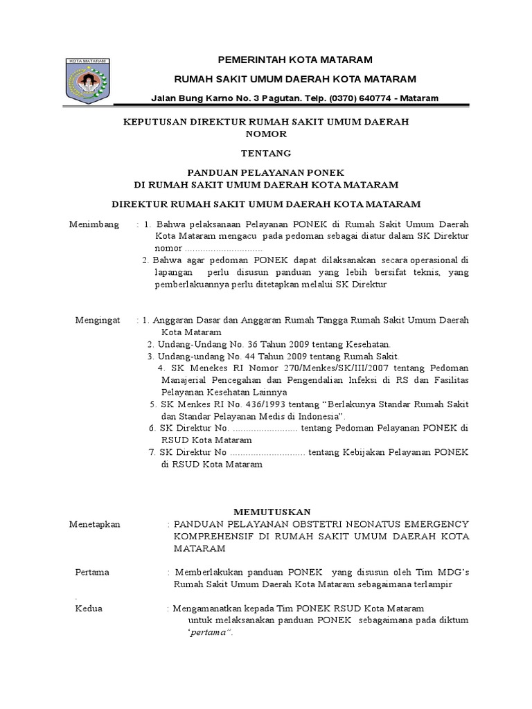 Panduan Pelayanan Ponek | PDF