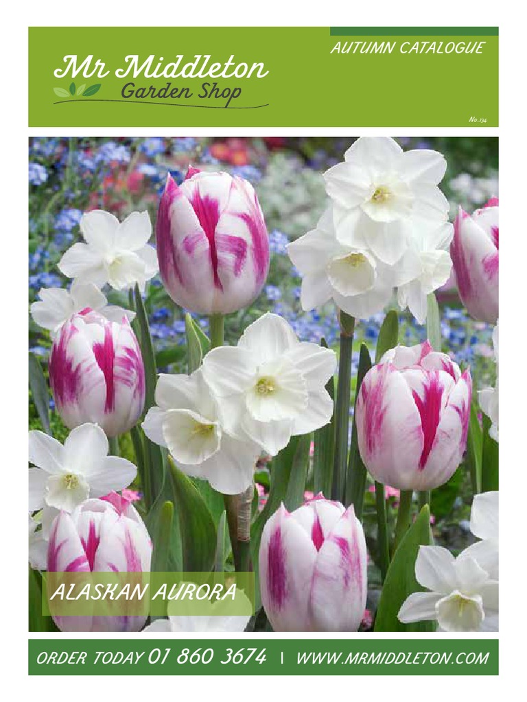 MR - Middleton Autumn Bulbs Catalogue | PDF | Tulip | Onion