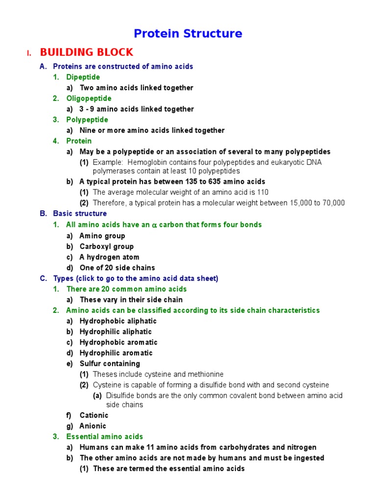 Protein Structure: Building Block | PDF | Denaturation (Biochemistry ...