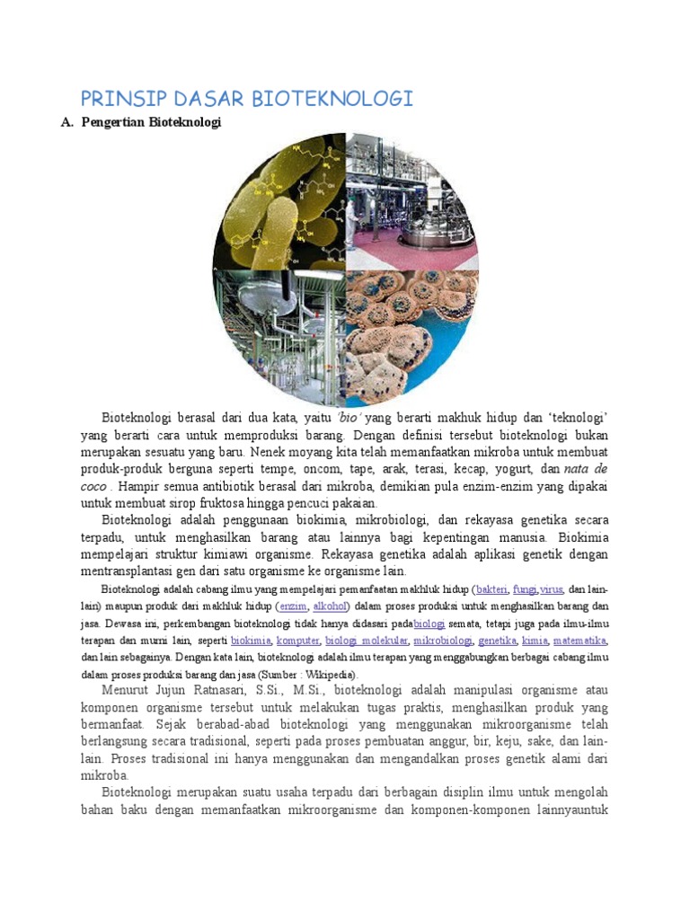 Prinsip Dasar Bioteknologi | PDF