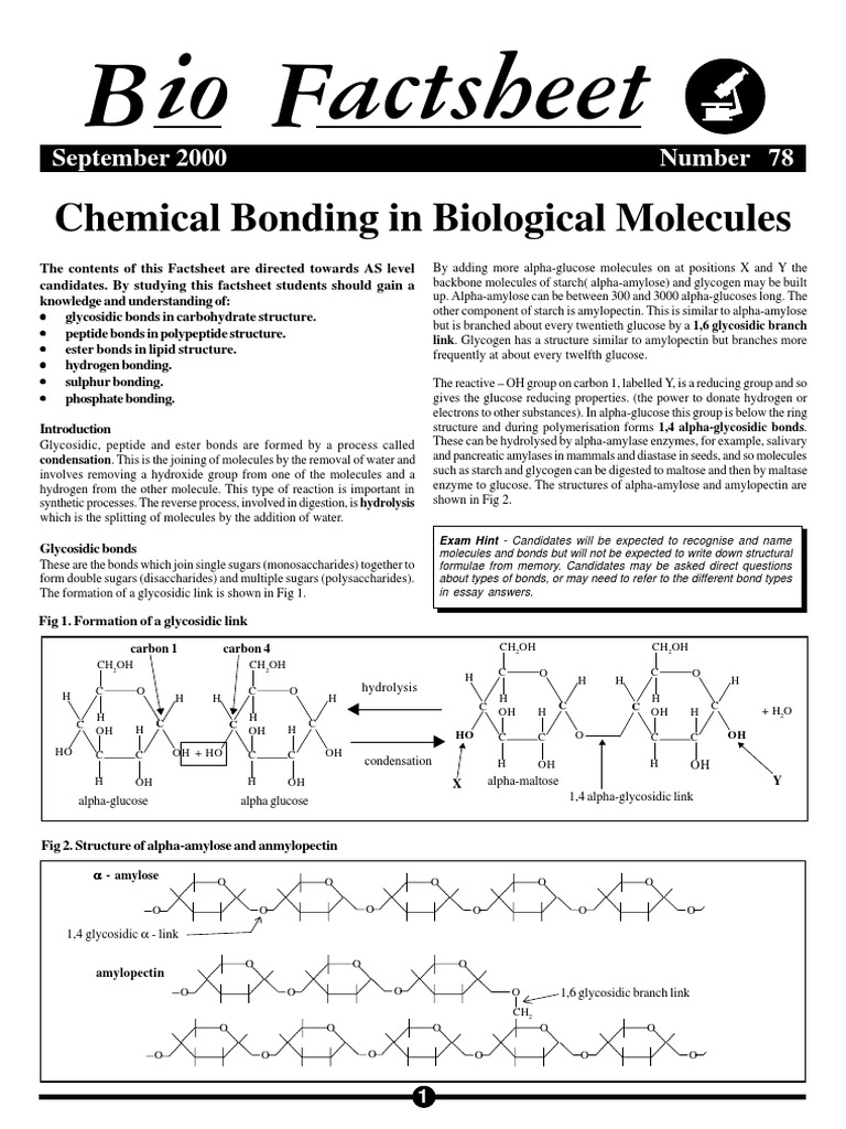 Bio Factsheet 78 Chemical Bonding in Biological Molecules PDF | PDF