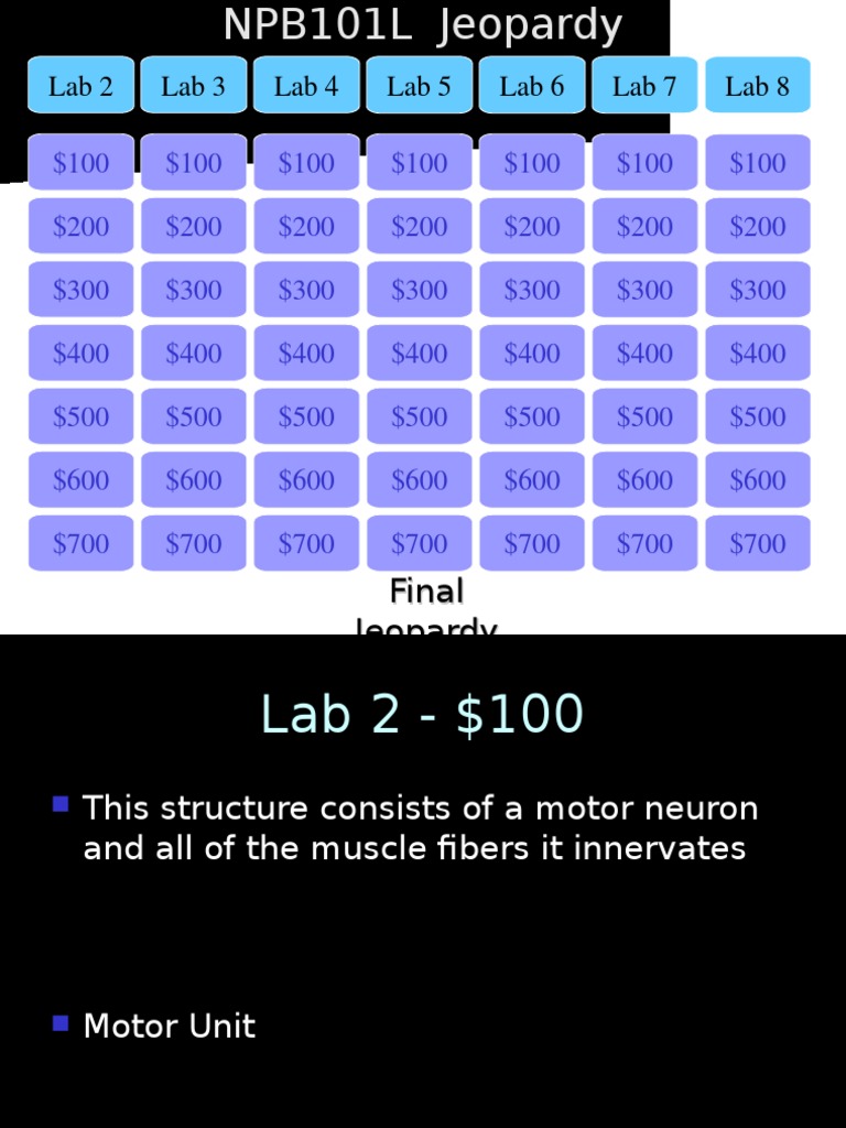 Jeopardy Game NPB 101L | PDF | Muscle Contraction | Heart
