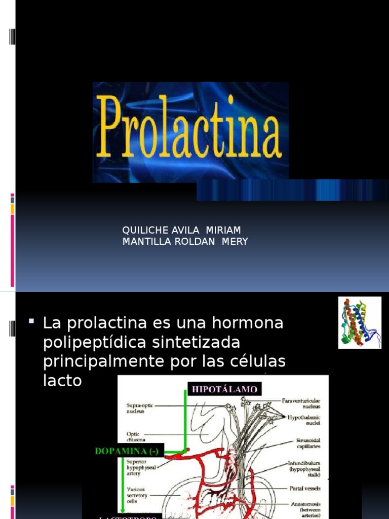 Exposicion Prolactina y LH | PDF | Hormona luteinizante | Ciclo menstrual