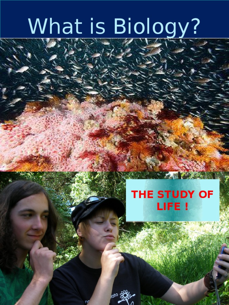 Key Characteristics of Life in Biology | PDF