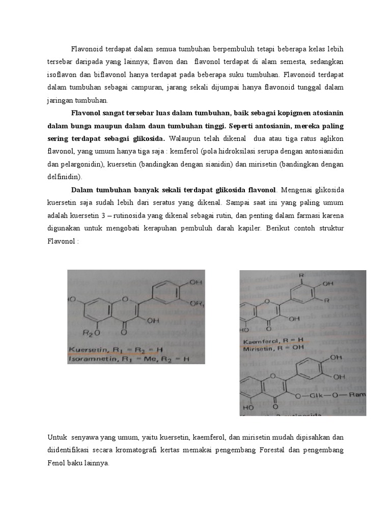 Flavonol Pdf