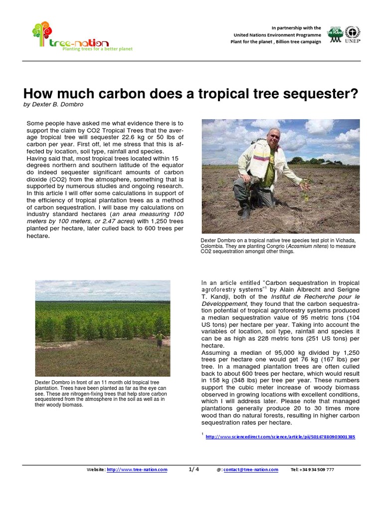 Tropical Tree Sequestration Co2 Tree-Nation | PDF | Carbon ...