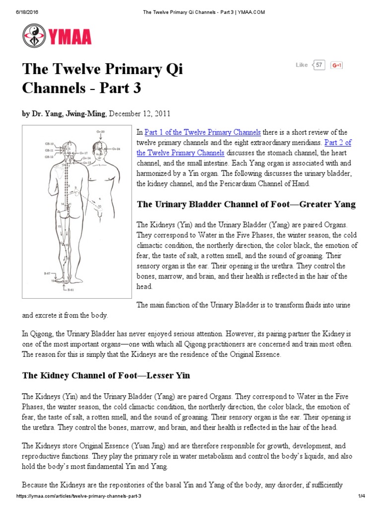 Qi Channels: Kidney & Bladder Focus | PDF | Qi | Qigong