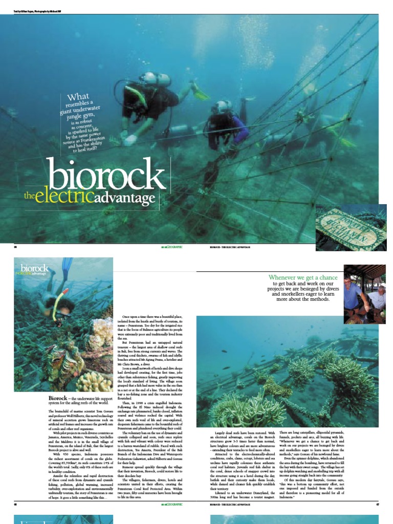 BIOROCK: The Electric Advantage | PDF | Coral Reef | Coral