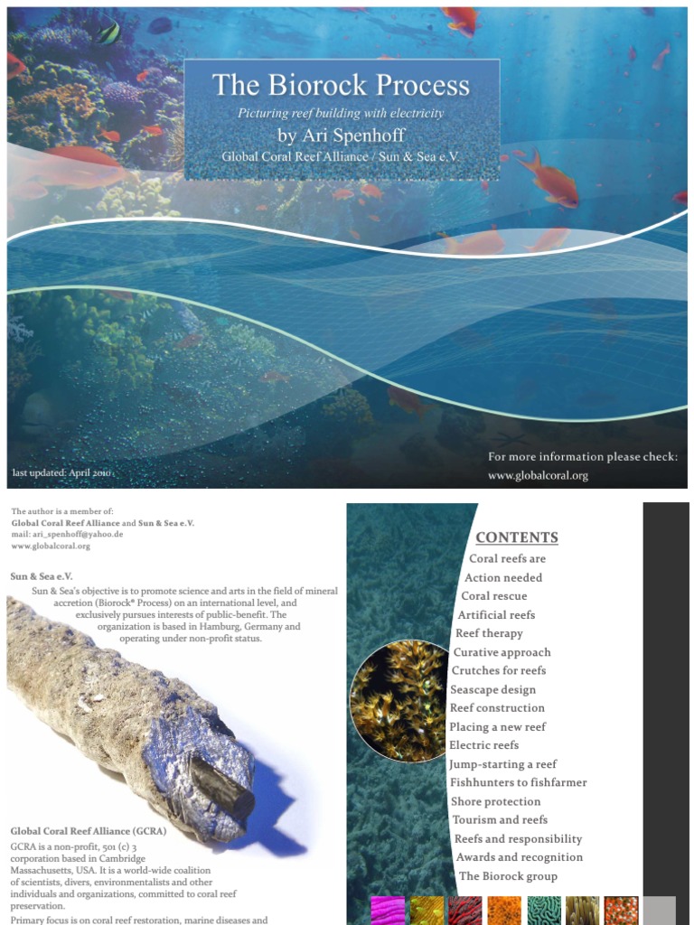 The Biorock Process | PDF | Coral Reef | Coral