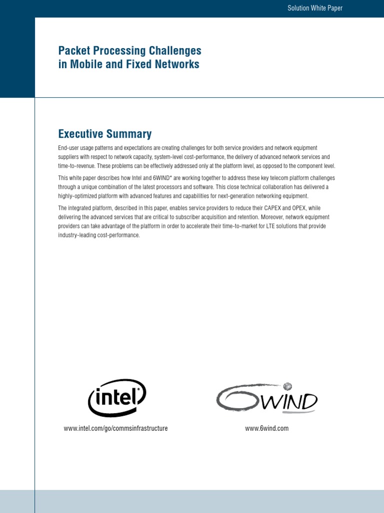 6WIND-Intel White Paper - Optimized Data Plane Processing Solutions Using The Intel® DPDK v2 ...
