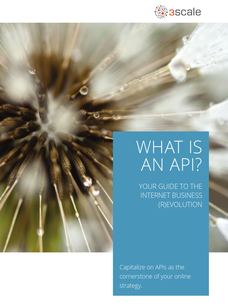 What Is An API 1.0 PDF | PDF | Application Programming Interface ...