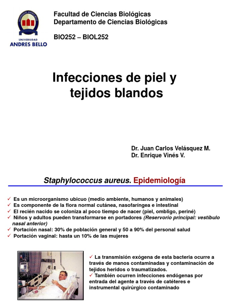 BIOL252 Clase 9-Infecciones de Piel y Tejidos Blandos | PDF | Staphylococcus Aureus | Estreptococo