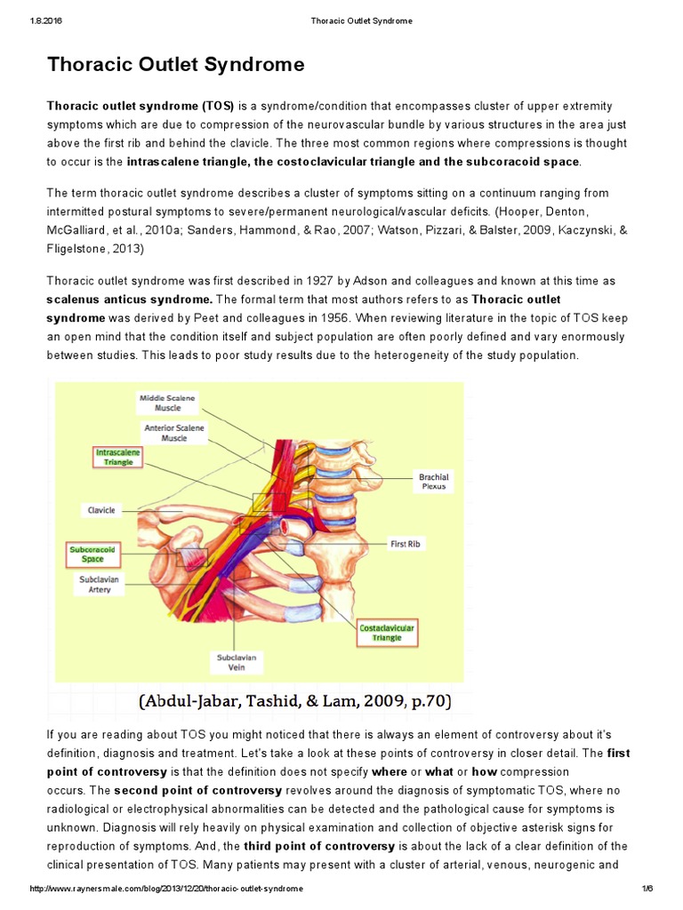 TOS Symptoms, Causes & Tests | PDF | Human Anatomy | Musculoskeletal System