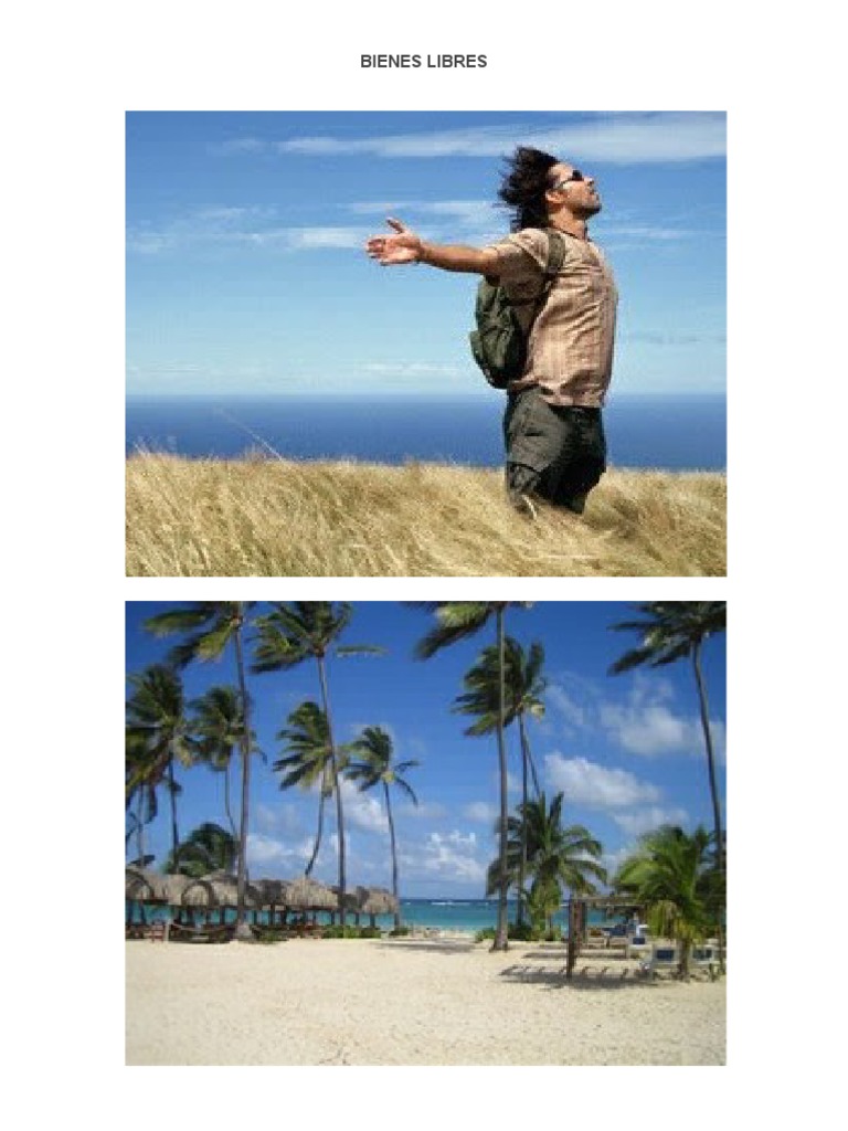 Bienes Libres | PDF | Microeconomía | Ciencias económicas