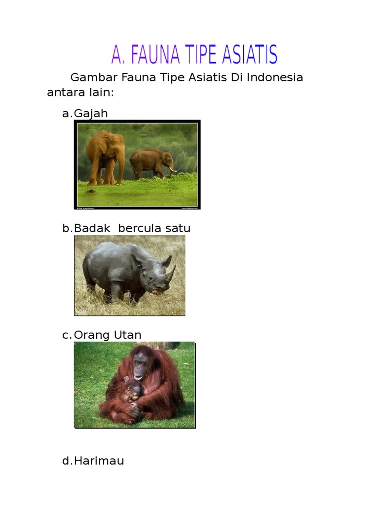 Gambar Fauna Tipe Asiatis Di Indonesia Antara Lain | PDF