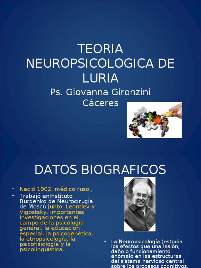 Teoria Neuropsicologica de Luria | PDF | Cerebro | Corteza cerebral
