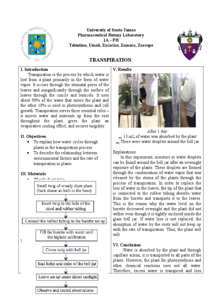 Transpiration - Bot Lab Report | PDF | Stoma | Plants