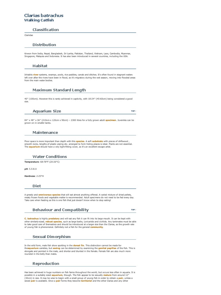 Clarias Batrachus (Walking Catfish) - Seriously Fish | PDF | Spawn ...