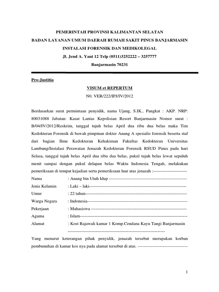 Contoh Visum TKP | PDF